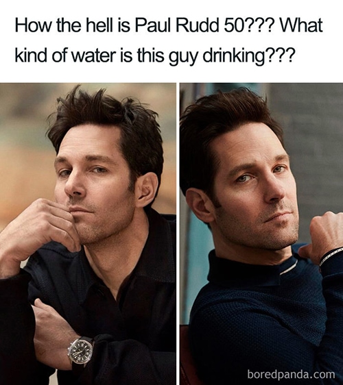 27 Paul Rudd Memes to Get You Through the Week - Let's Eat Cake 27 Paul Rudd Memes to Get You Through the Week - Let's Eat Cake
