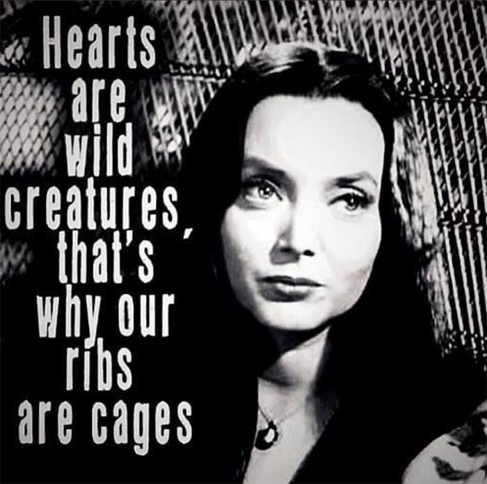 Morticia Addams Quotes Hot Sex Picture